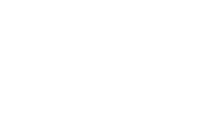 “CNAAⅠ”（一级广告企业）